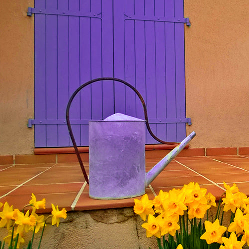 What is Color Echo? – Brent & Becky's